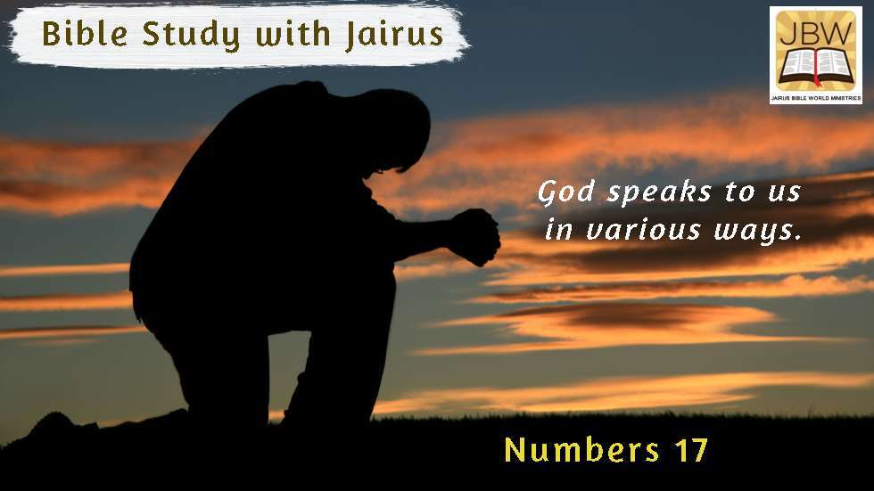 Bible Study With Jairus Numbers 17 Jairus Bible World